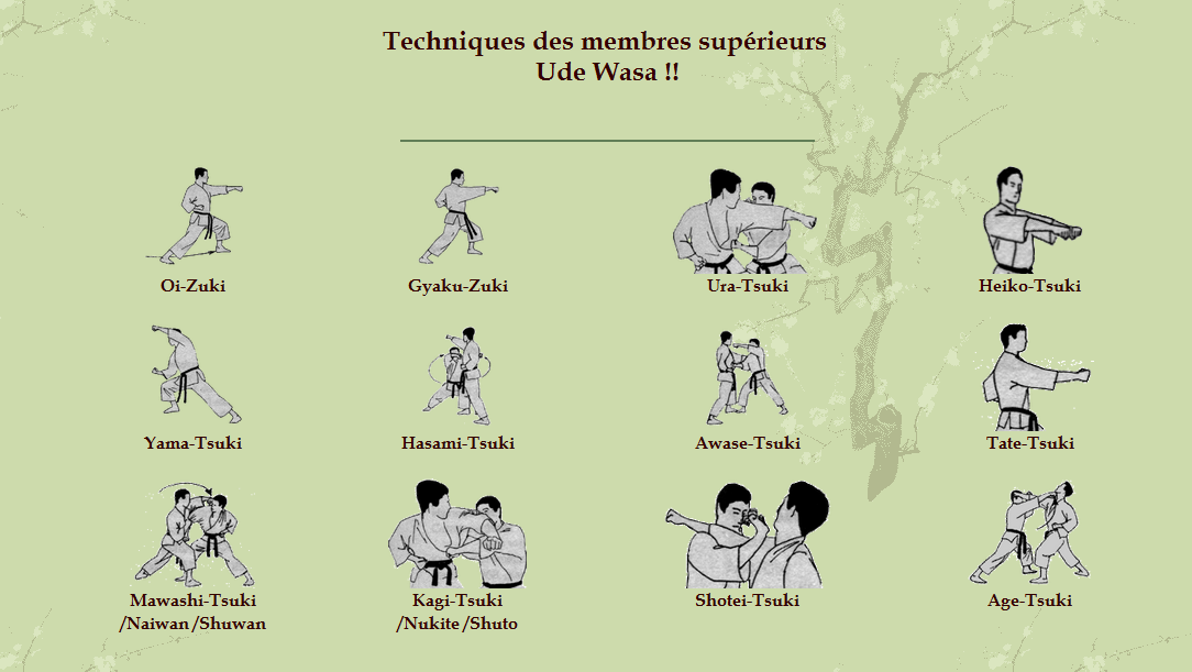 Les techniques de karaté - Karaté Club de Metz